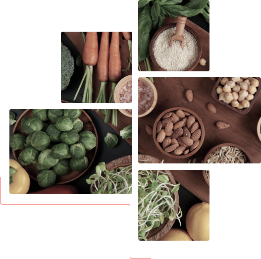 Restore Your Gut Health Sustainably | Personalized Nutrition Programs ...